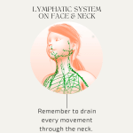 Lymphatic Drainage Facial, Why You Need One. – Glow by Jo Skin Studio
